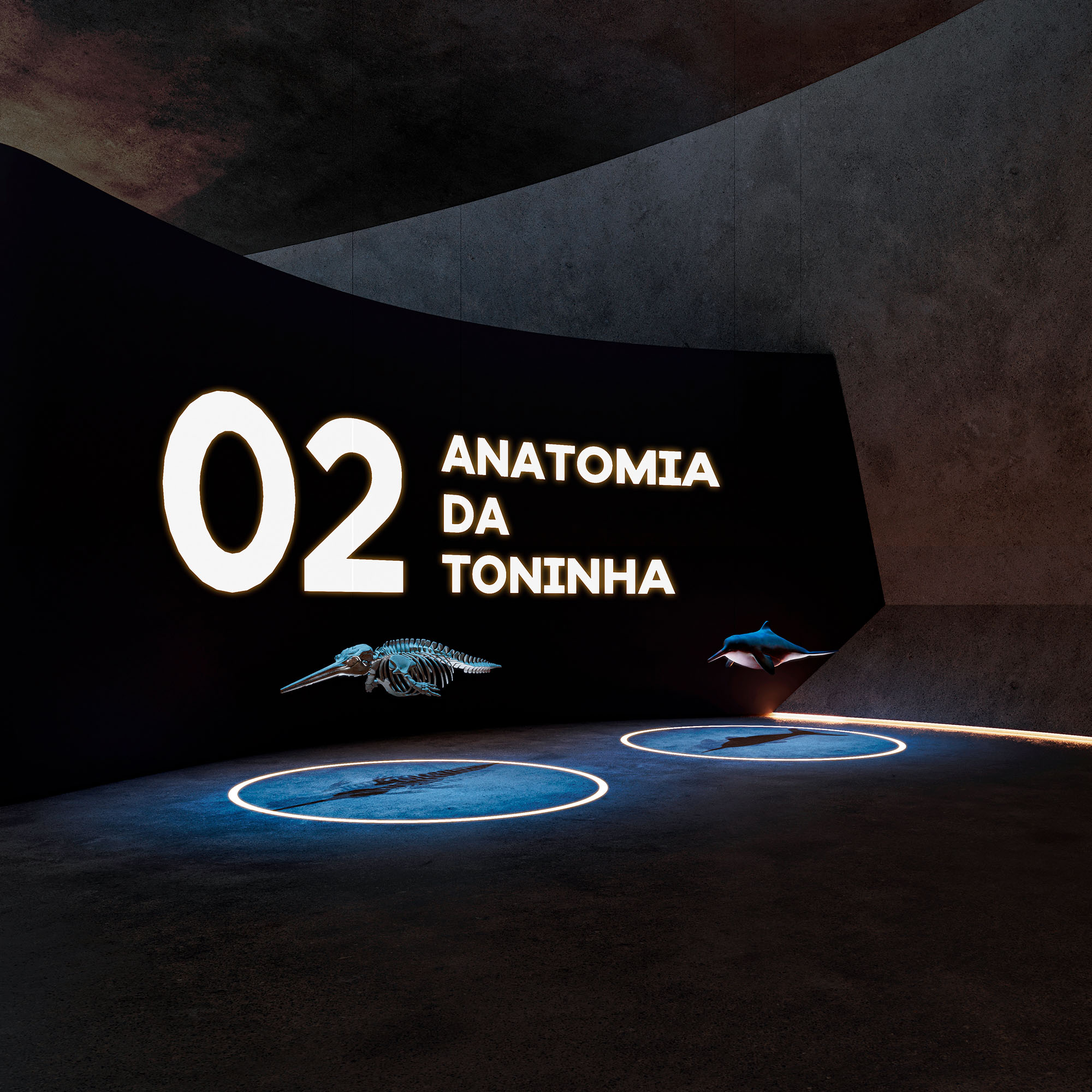 o-museu-virtual-museu-das-toninhas